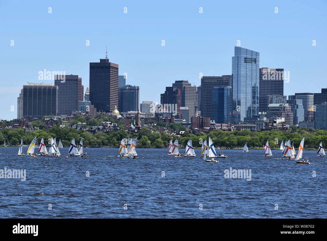Sailboats sailing in the Charles River Basin with the Boston skyline ...