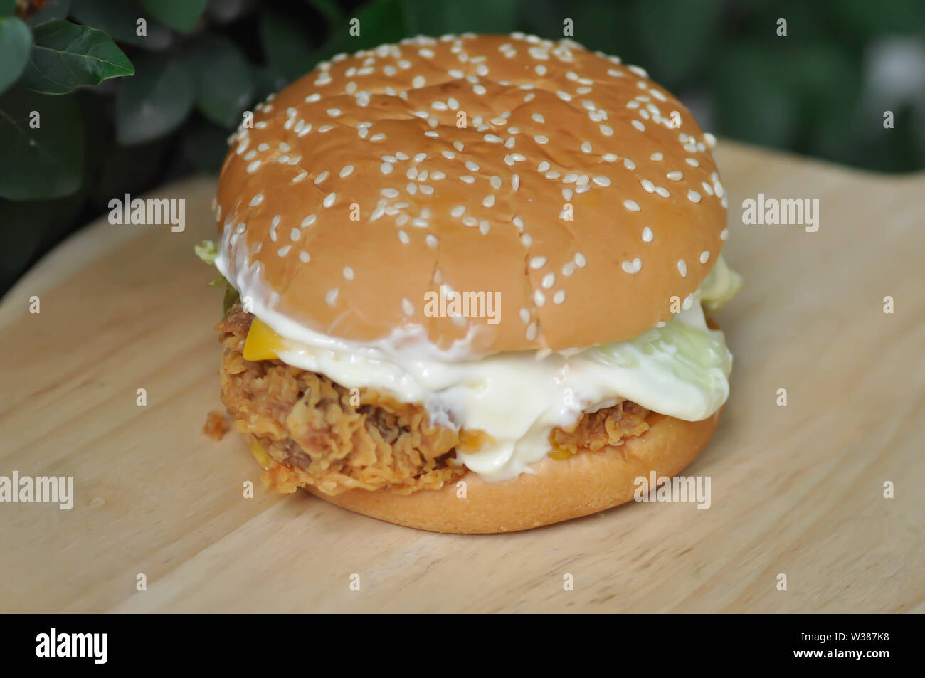 Chicken cheese bugger hi-res stock photography and images - Alamy