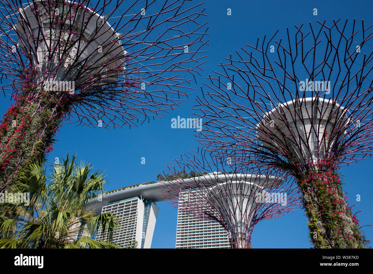 Singapore, Gardens by the Bay, Supertree Grove. Man-made vertical ...