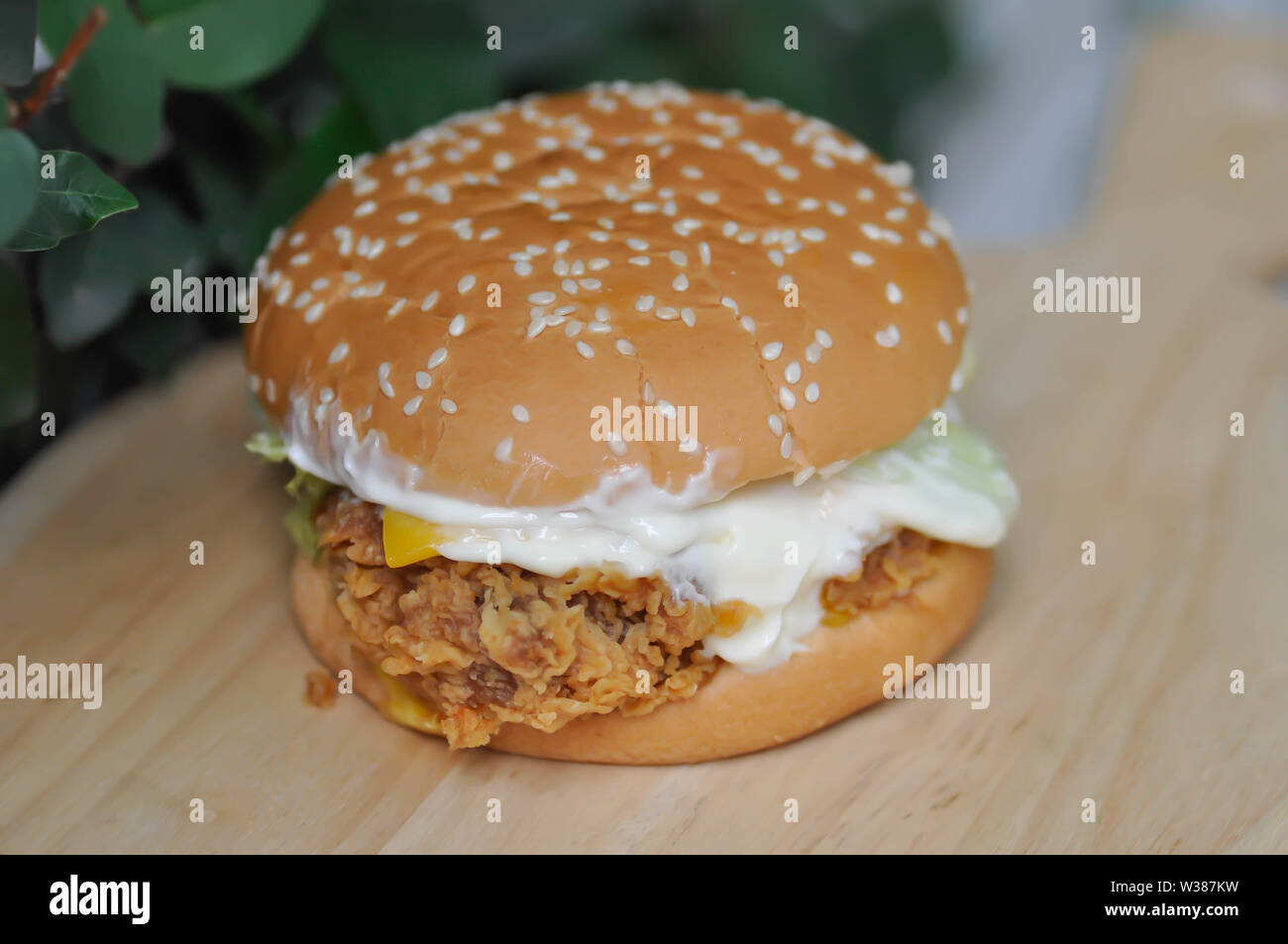 Chicken cheese bugger hi-res stock photography and images - Alamy