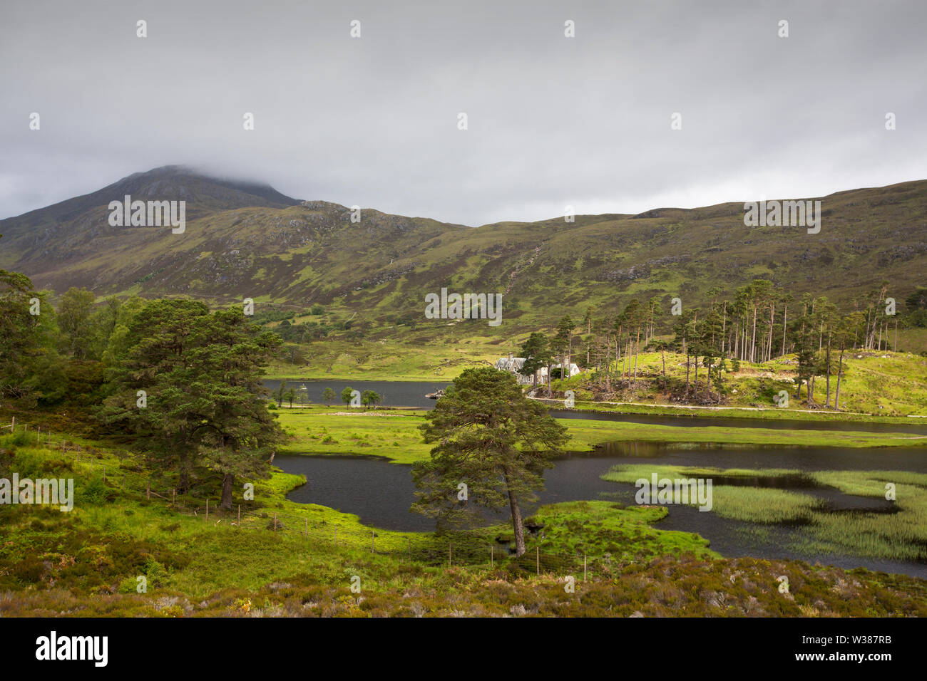 Glen Affric and Affric Lodge, Highlands, Scotland, UK Stock Photo - Alamy