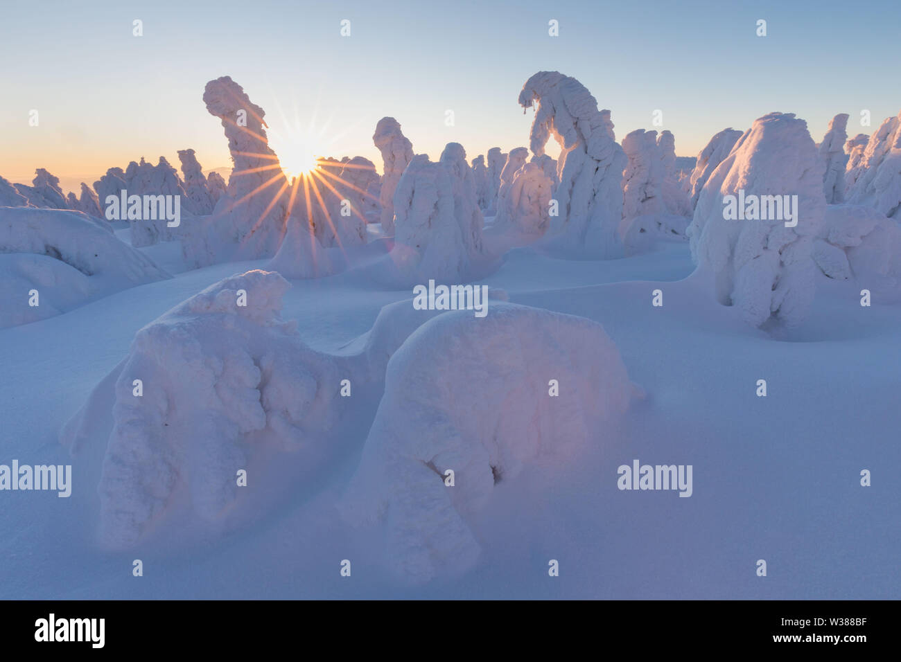 First snow in Banff National Park Alberta Canada Snow-covered winter ...