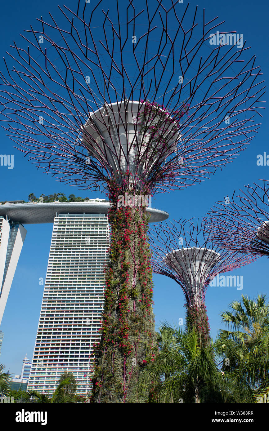 Singapore, Gardens by the Bay, Supertree Grove. Man-made vertical ...