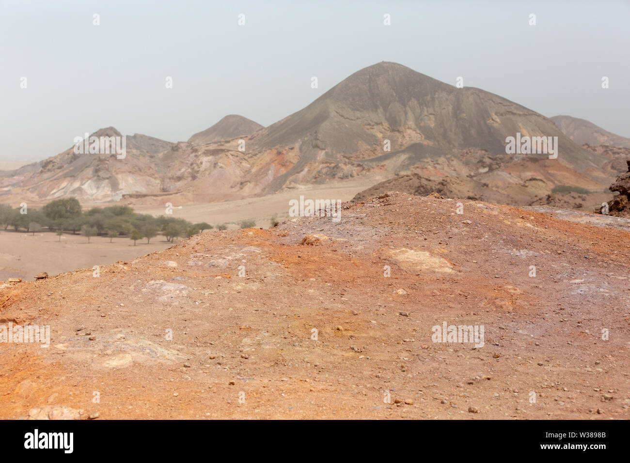 Sir Baniyas Island, Abu Dhabi, UAE Stock Photo - Alamy