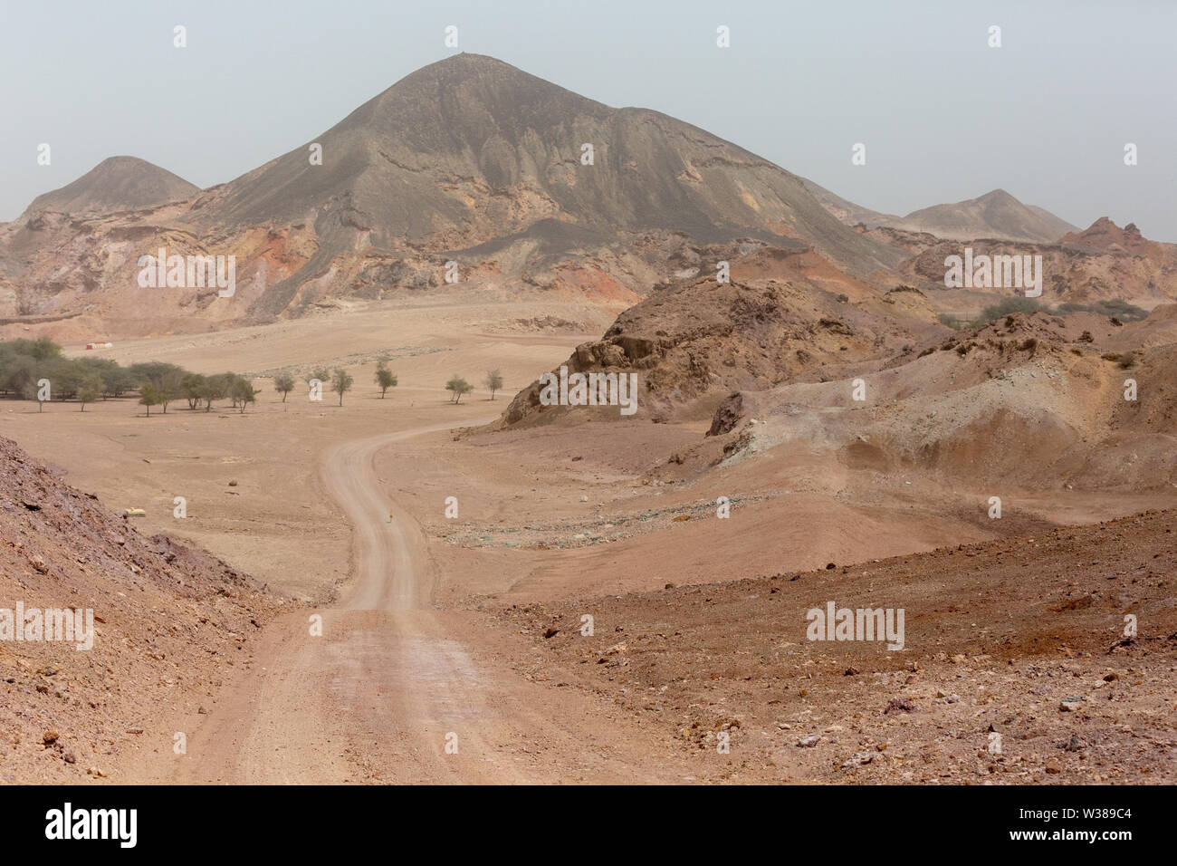 Sir Baniyas Island, Abu Dhabi, UAE Stock Photo - Alamy