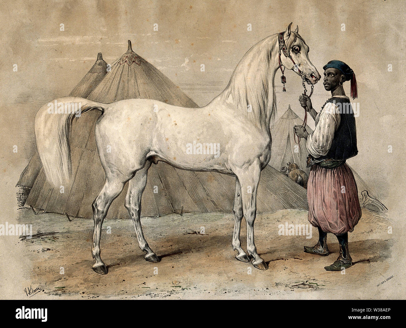 Chalk horse drawing hi-res stock photography and images - Alamy