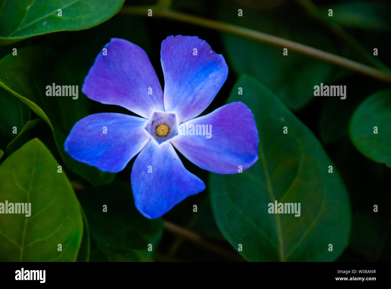 Geometric shapes nature hi-res stock photography and images - Alamy