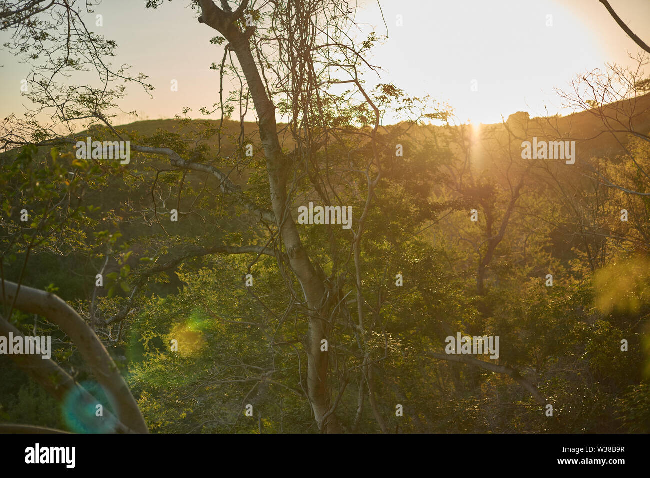 The sunset,the jungle hi-res stock photography and images - Alamy