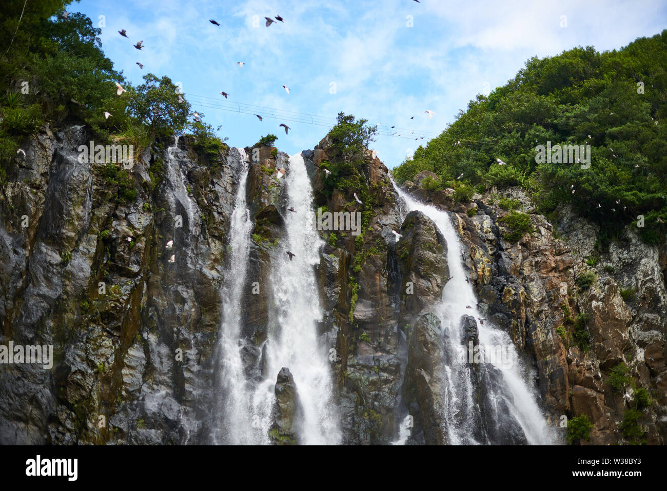 Waterfall with birds Stock Photo - Alamy