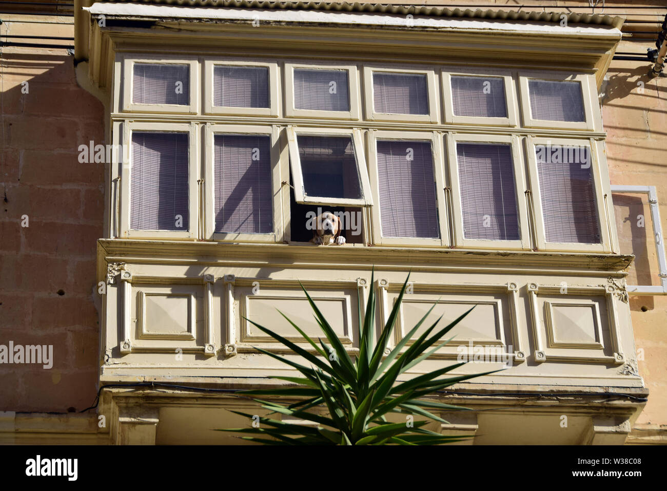 Traditional Maltese house, Sliema, Malta, Europe Stock Photo - Alamy