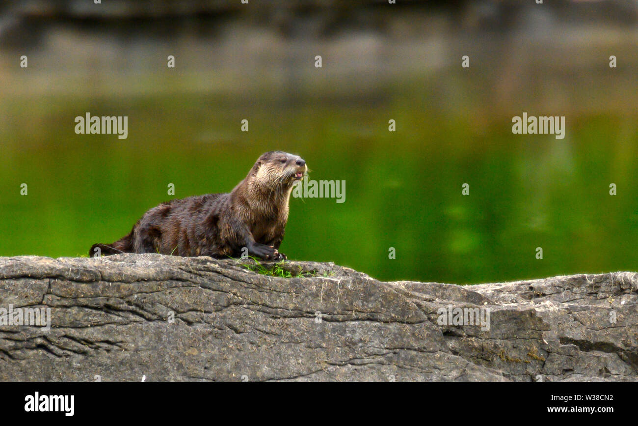 1970s midwest hi-res stock photography and images - Alamy