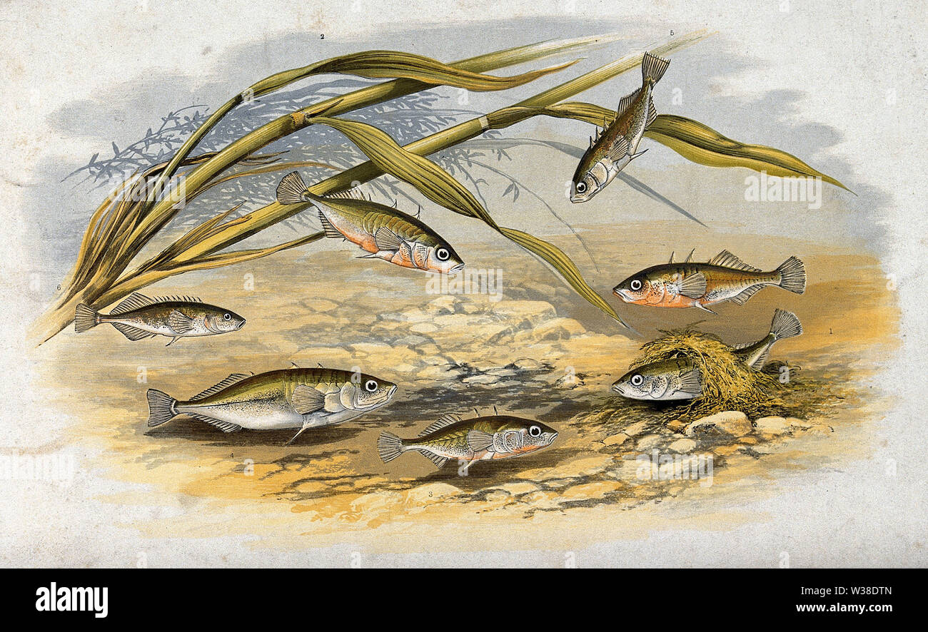 Sea water cartoon hi-res stock photography and images - Alamy