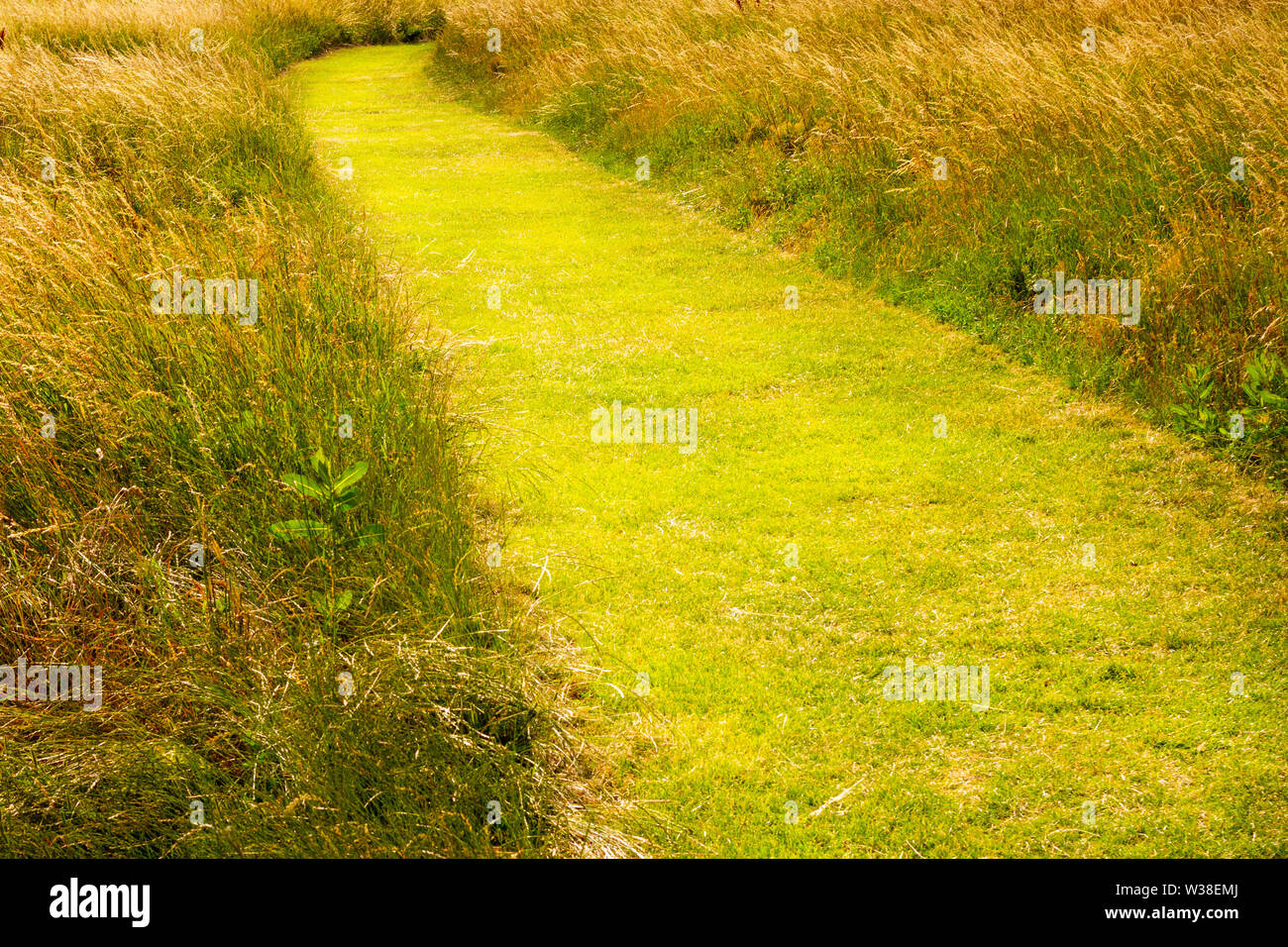 Mowed path through meadow hi-res stock photography and images - Alamy