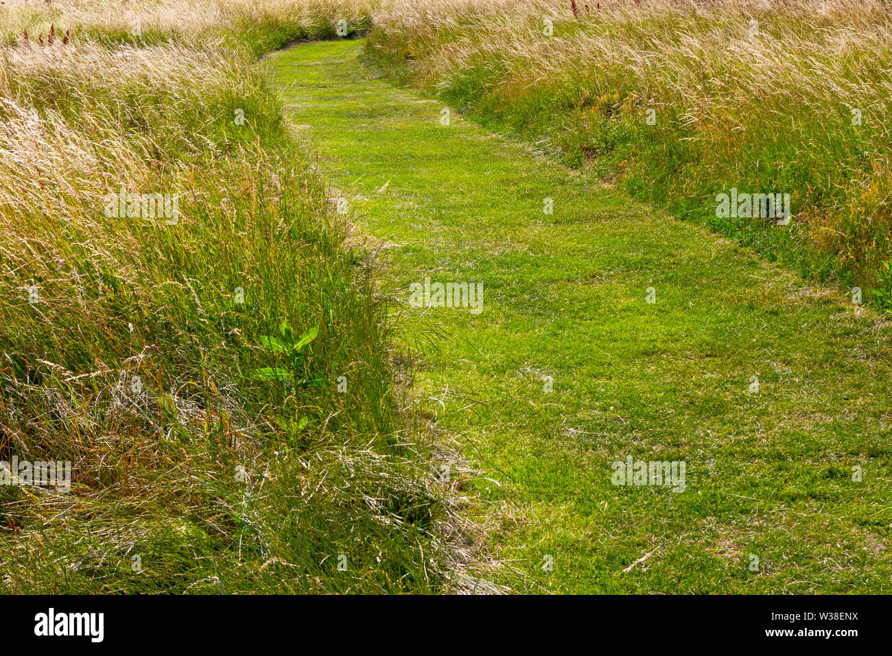 Meadow mowed hi-res stock photography and images - Alamy