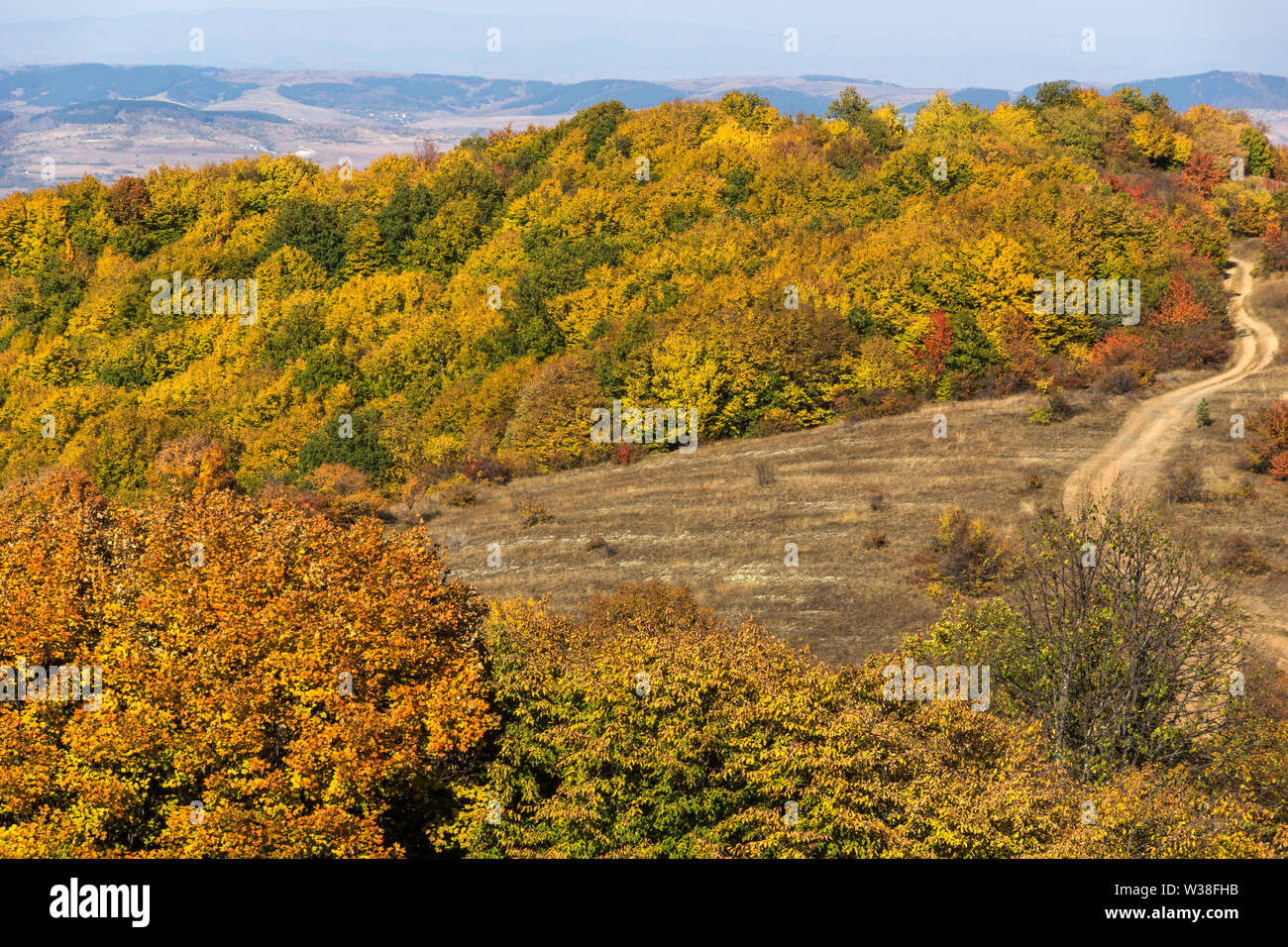 Amazing Autumn Landscape of Cherna Gora (Monte Negro) mountain, Pernik ...