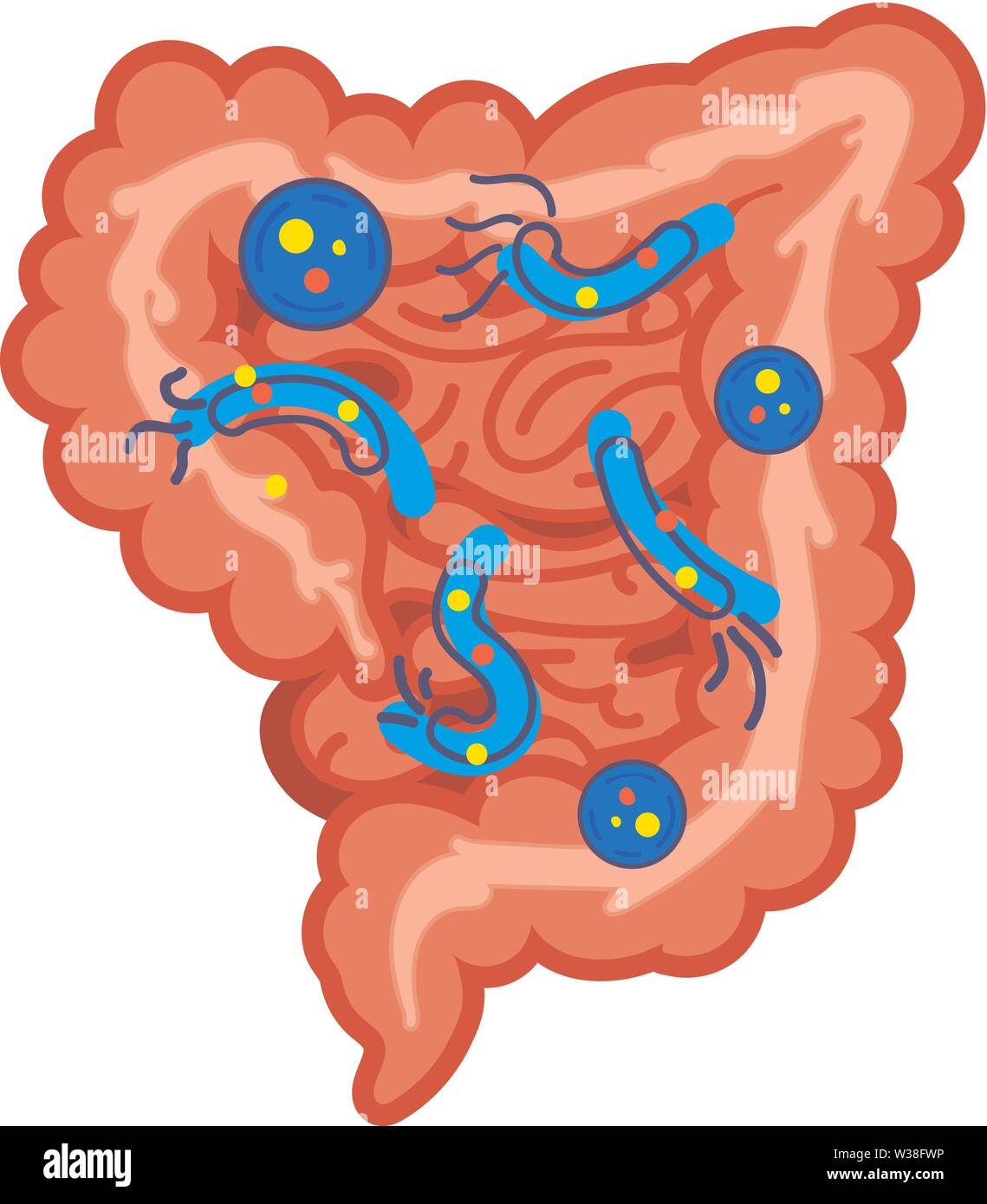 Digestive tract with bacteria, virus. Medicine, biology concept. Large ...