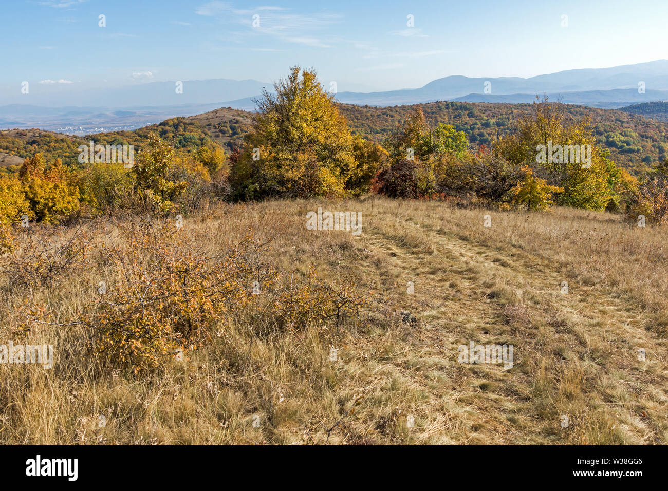 Amazing Autumn Landscape of Cherna Gora (Monte Negro) mountain, Pernik ...
