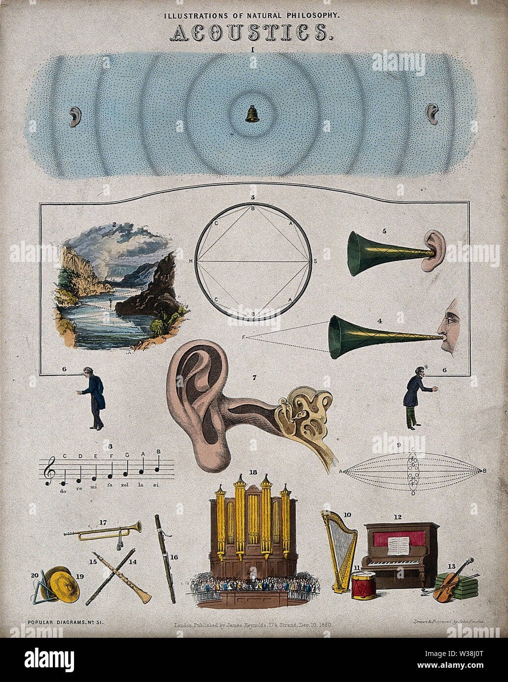 Music instruments tambourine percussion instrument hi-res stock ...