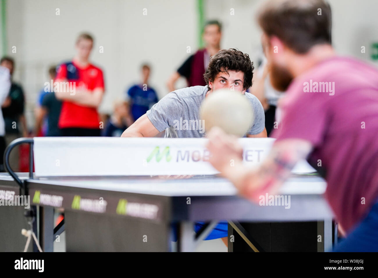 Two head bat hi-res stock photography and images - Alamy