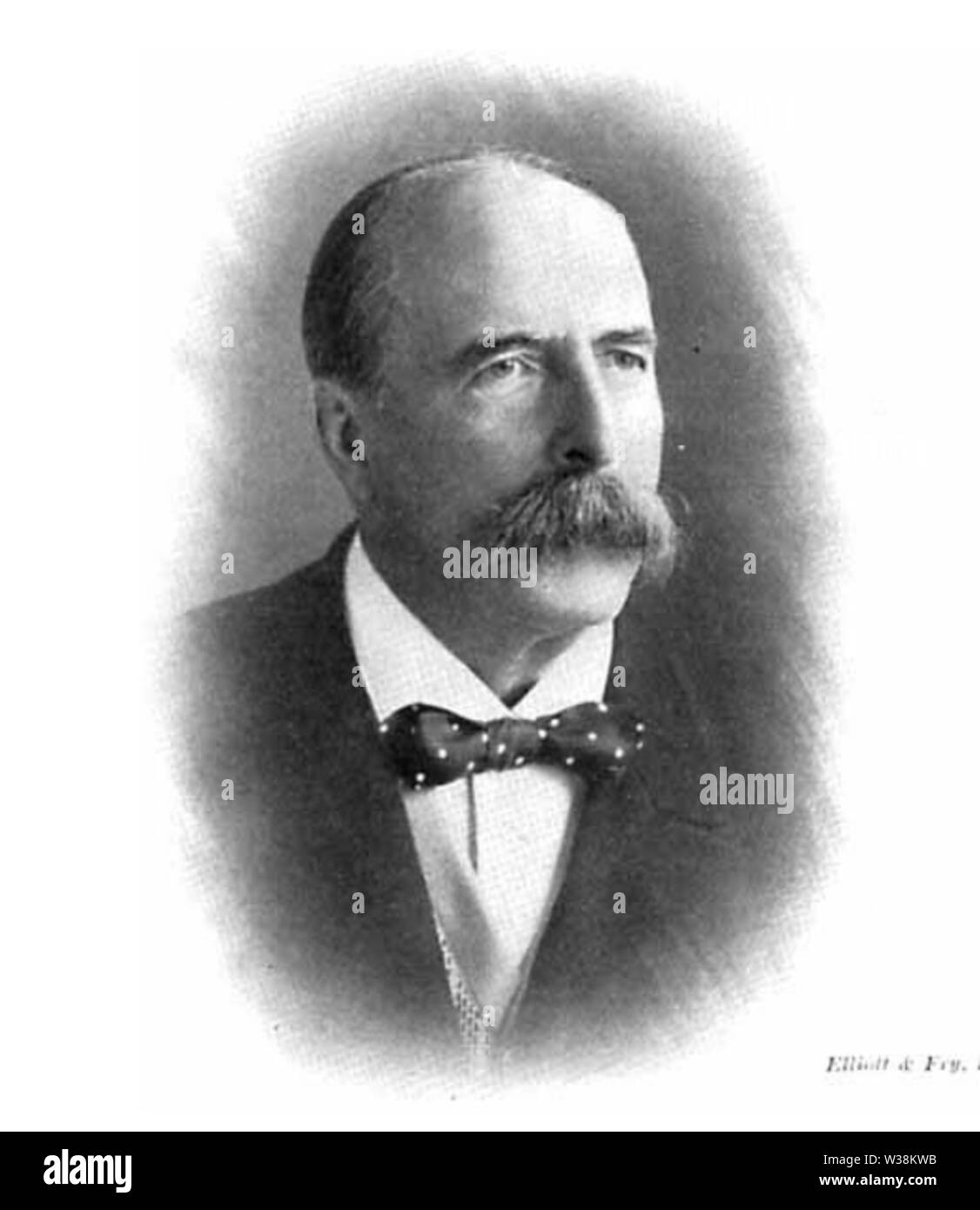 Whitehead Cut Out Stock Images & Pictures - Alamy