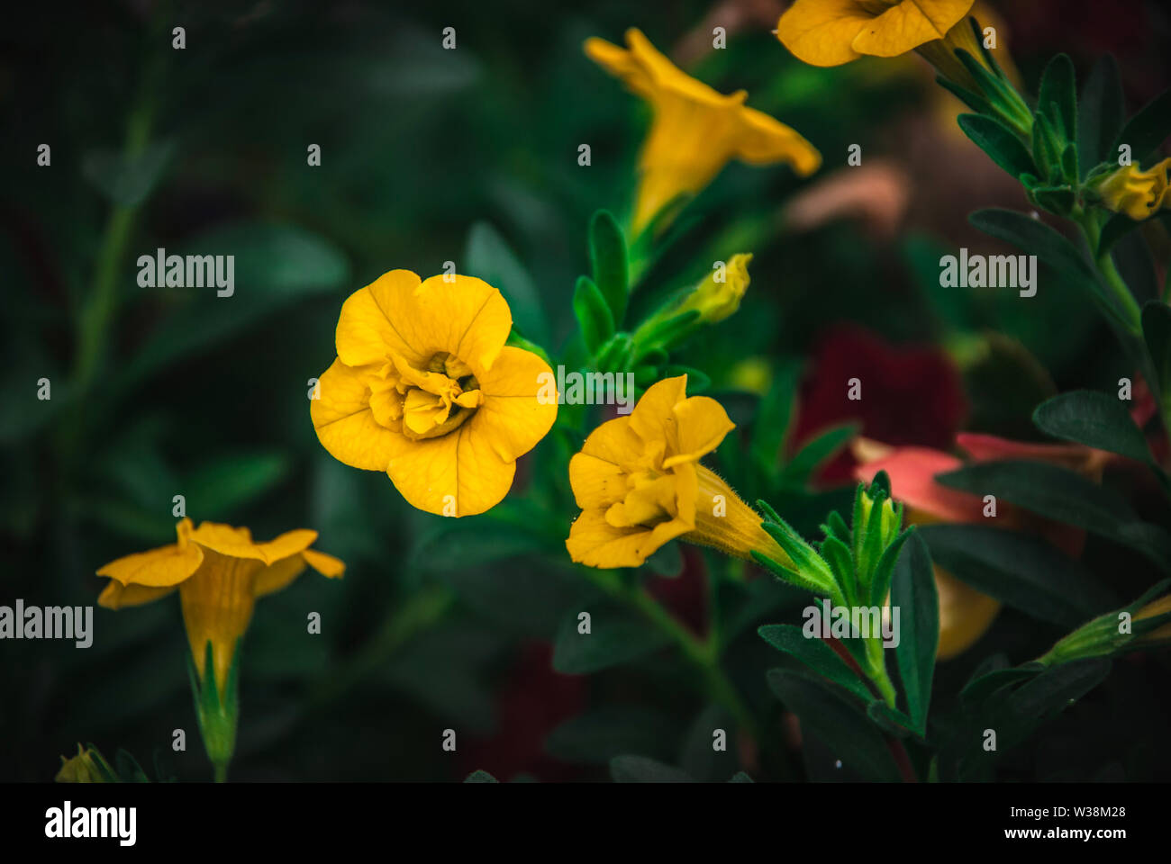 Red handed hi-res stock photography and images - Alamy