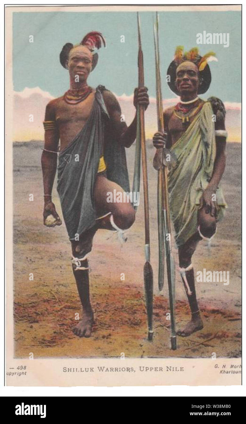 Chollo hi-res stock photography and images - Alamy