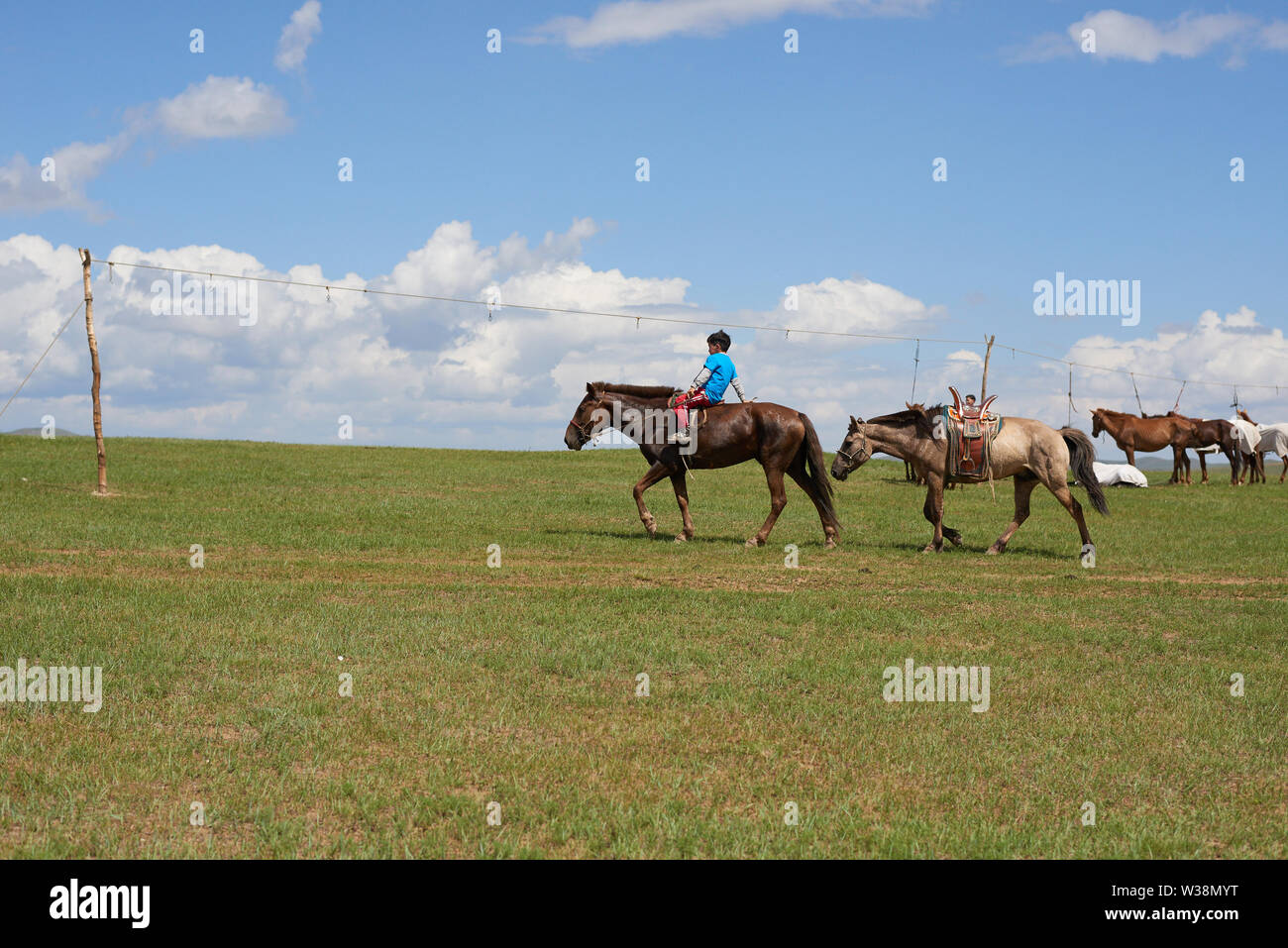 Boy training horses Stock Photo - Alamy
