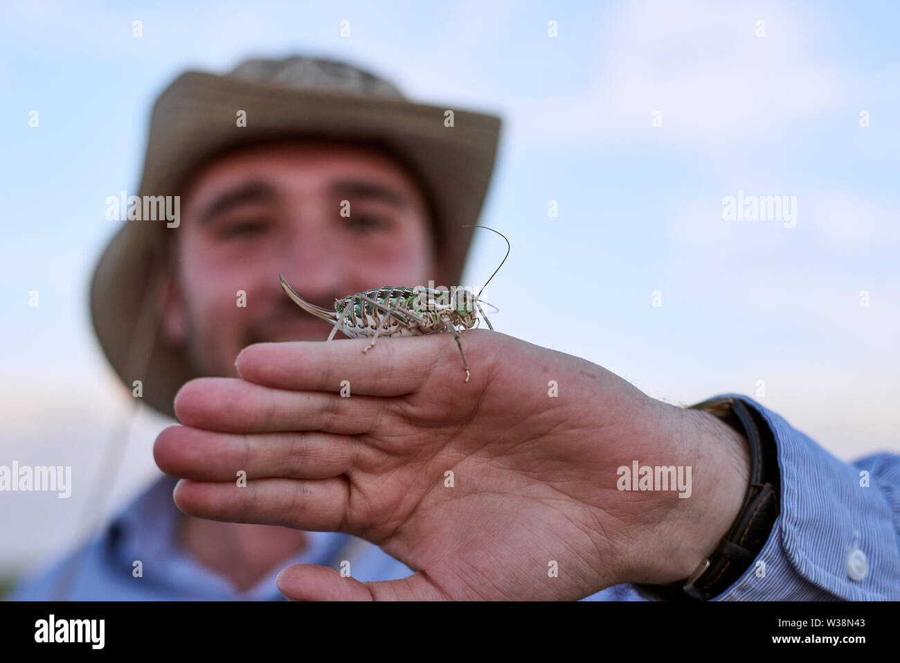 Man desert insect hi-res stock photography and images - Alamy