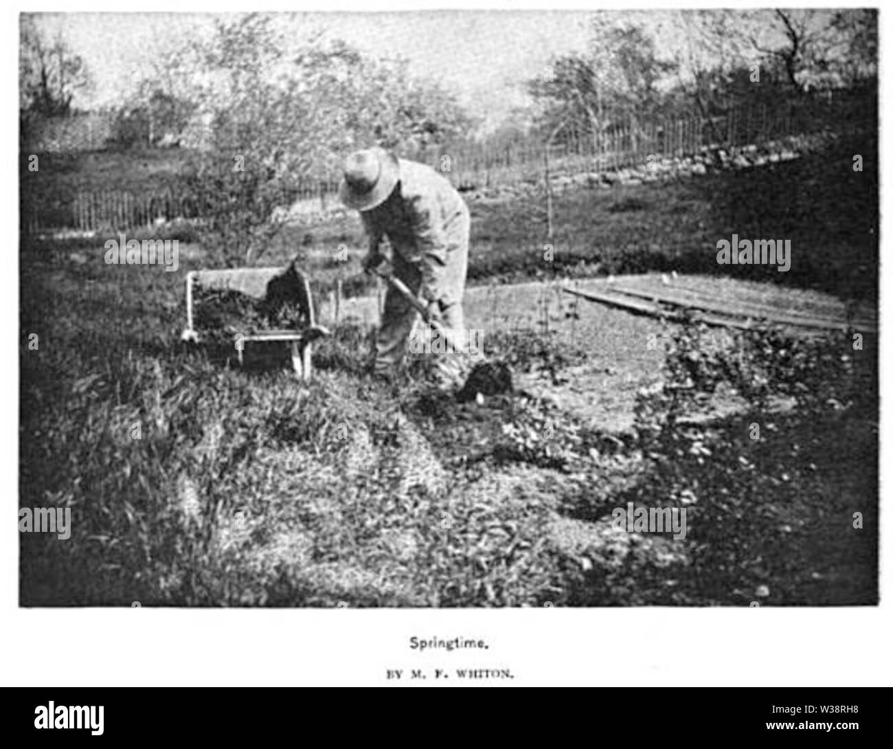 Whiton hi-res stock photography and images - Alamy