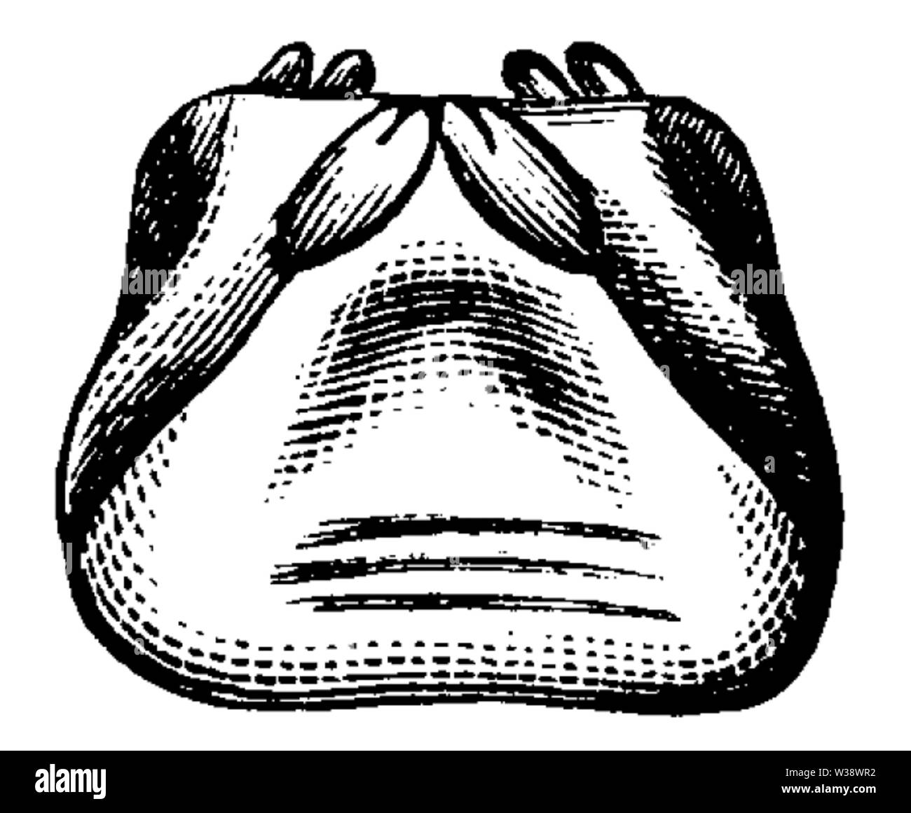 Wood 1865 Myriapoda of North America 23 Stock Photo - Alamy