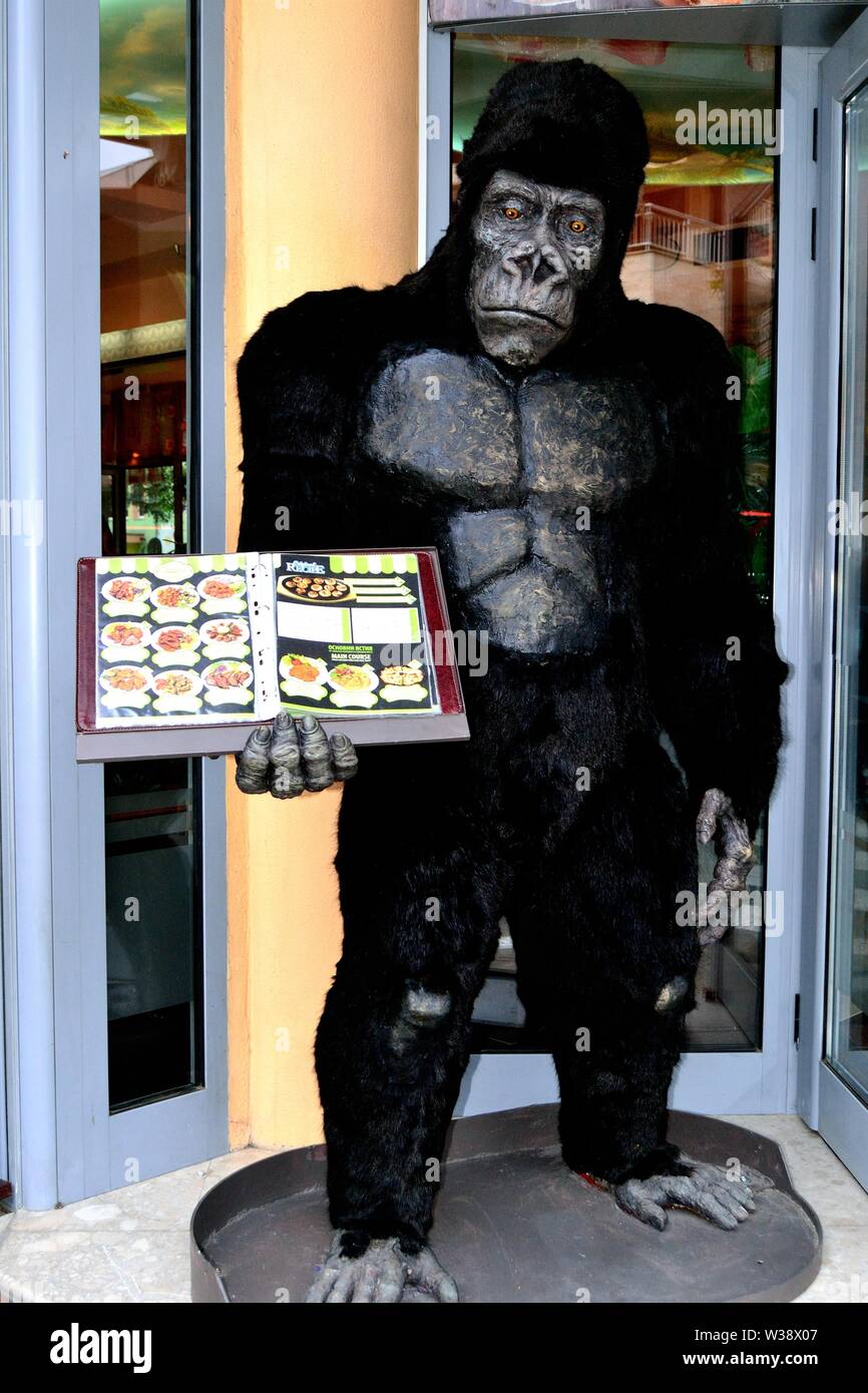 Gorilla menu - Restaurant in NESSEBAR - Black Sea - BULGARIA Stock ...