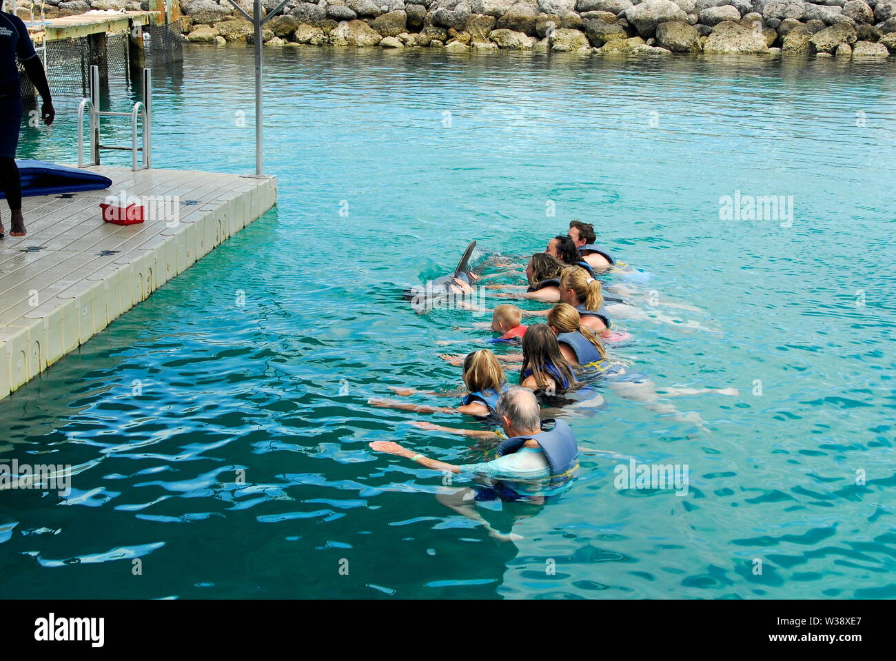 Blue lagoon island bahamas dolphin hi-res stock photography and images ...