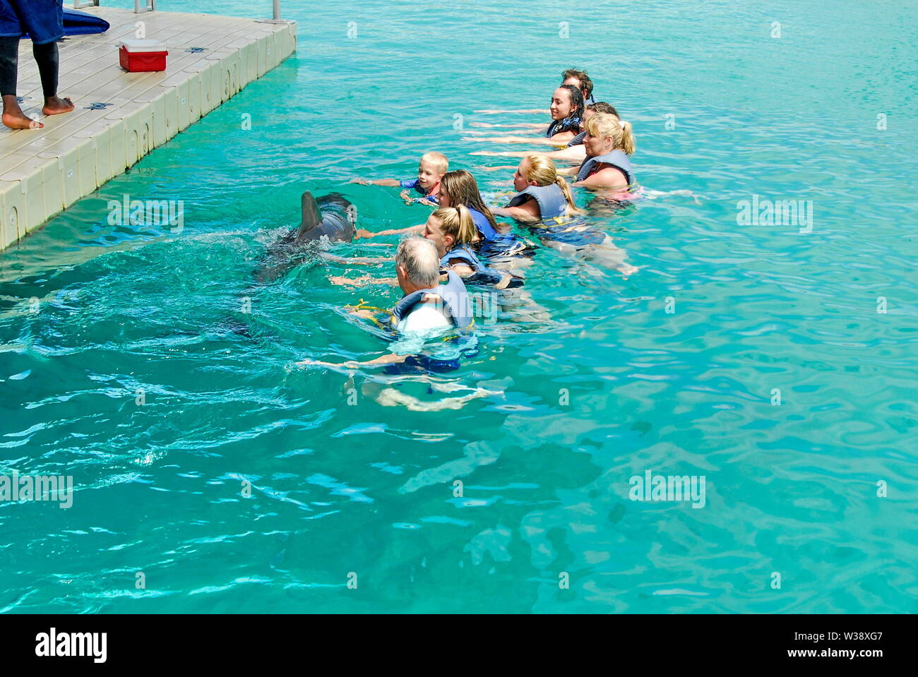 Blue lagoon island bahamas dolphin hi-res stock photography and images ...