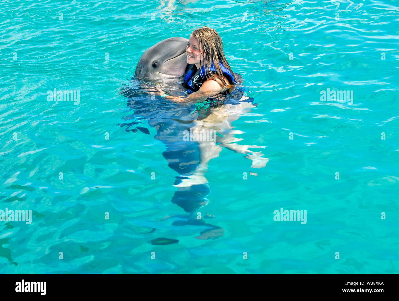 Blue lagoon island bahamas dolphin hi-res stock photography and images ...
