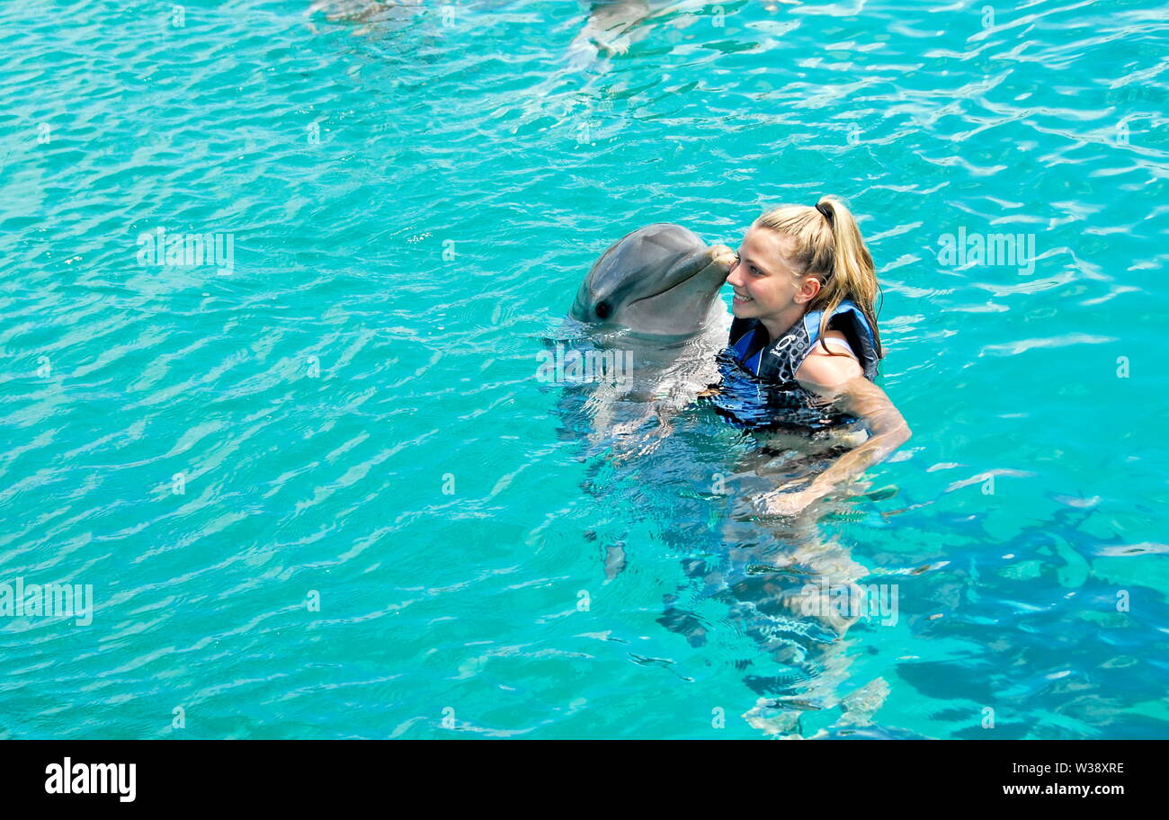 Blue lagoon island bahamas dolphin hi-res stock photography and images ...