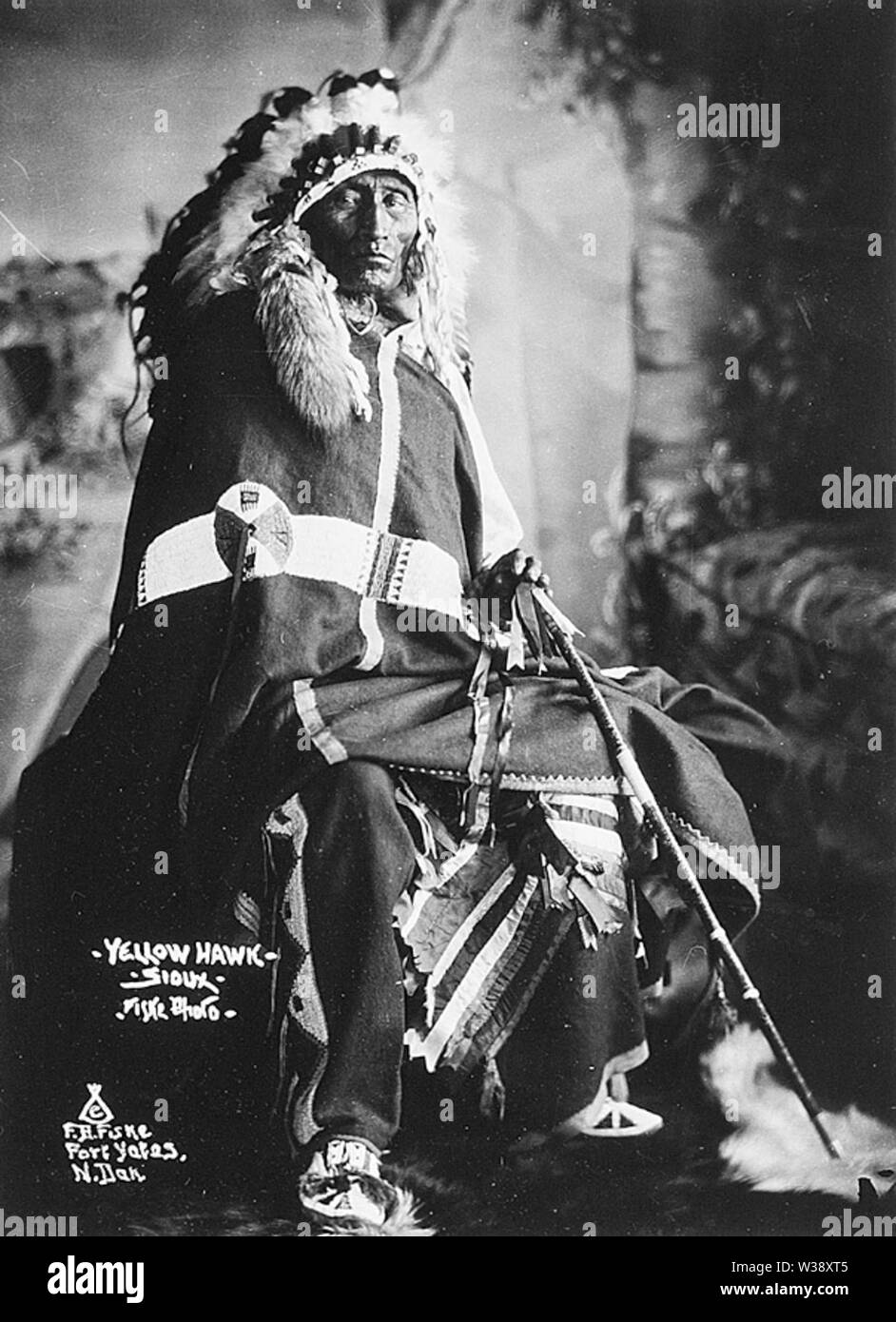 Chief yellow hawk hi-res stock photography and images - Alamy