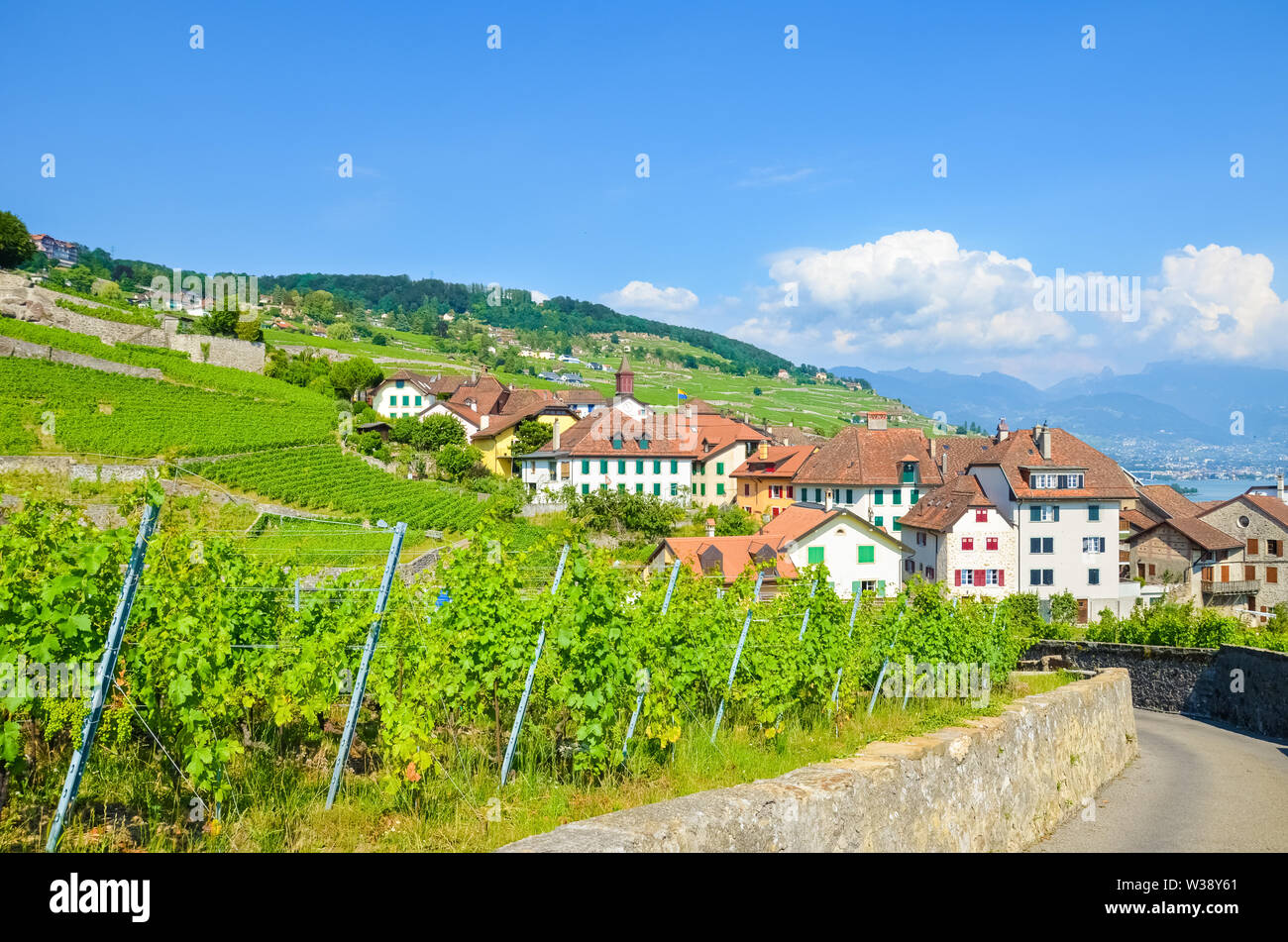 Wine terraces and wine village rivaz in lavaux hi-res stock photography ...