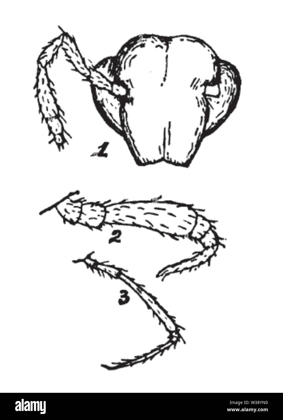 Ryder Cut Out Stock Images & Pictures - Alamy