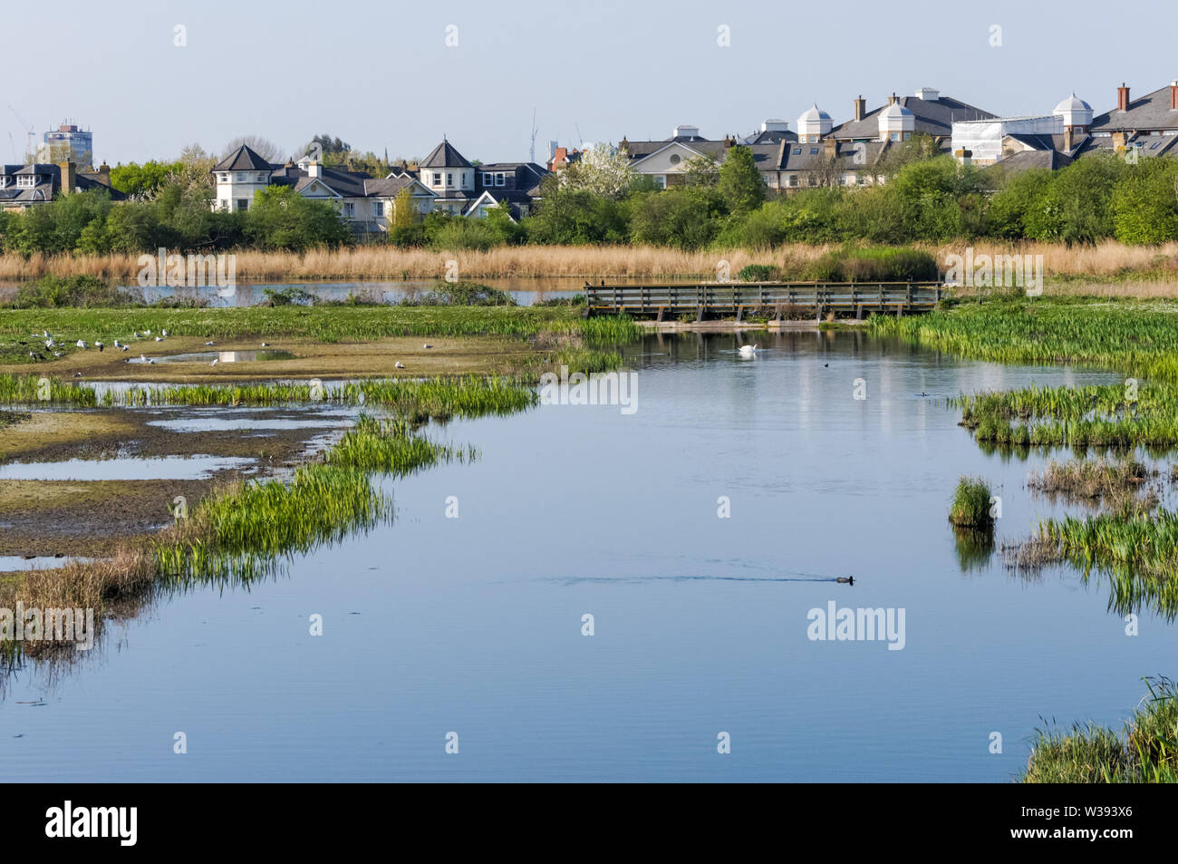 Wetlands barnes hi-res stock photography and images - Alamy