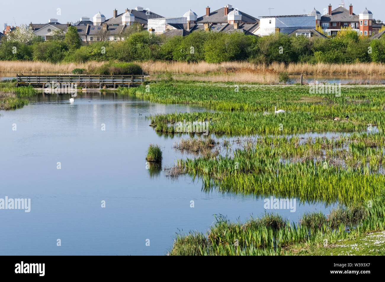 Wetlands barnes hi-res stock photography and images - Alamy