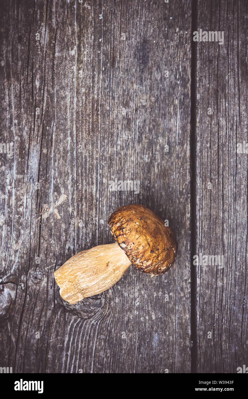 Delicious Types of Edible Brown Wild Mushrooms on Wooden Plank ...