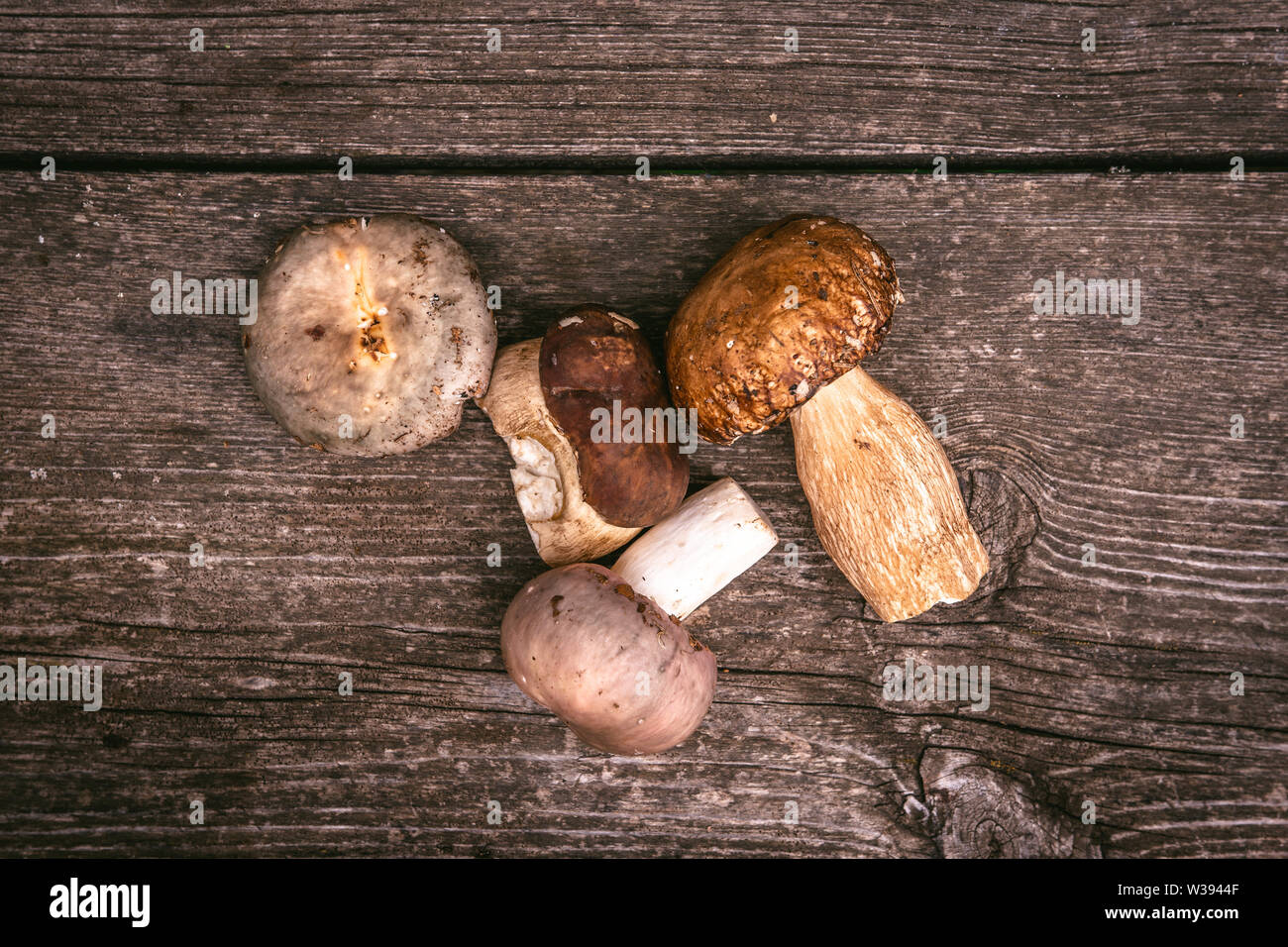 Delicious Types of Edible Brown Wild Mushrooms on Wooden Plank ...