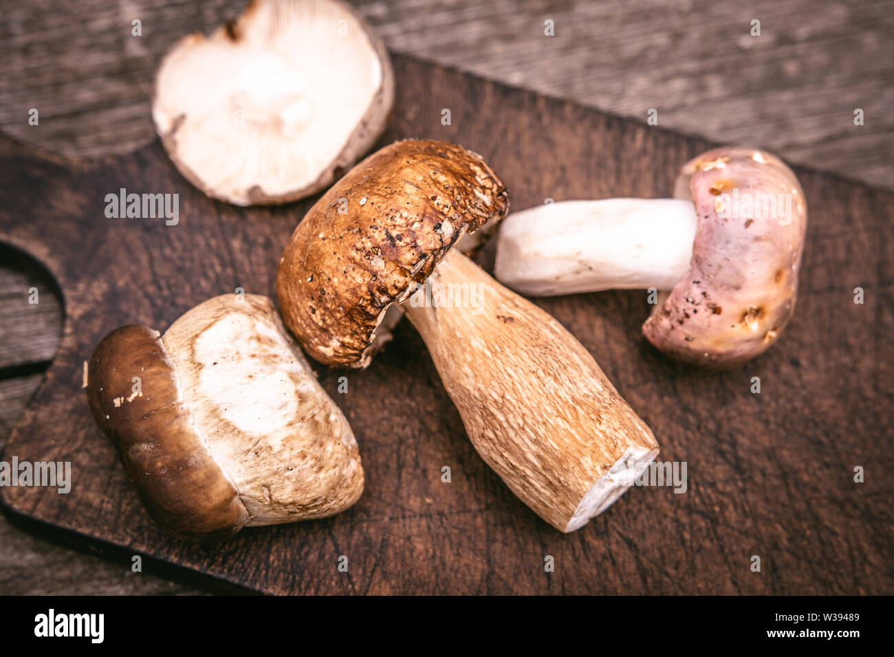 Delicious Types of Edible Brown Wild Mushrooms on Wooden Plank ...