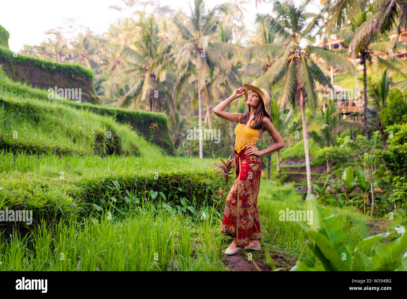 Young woman on green cascade rice field plantation at Tegalalang terrace. Bali, Indonesia ...