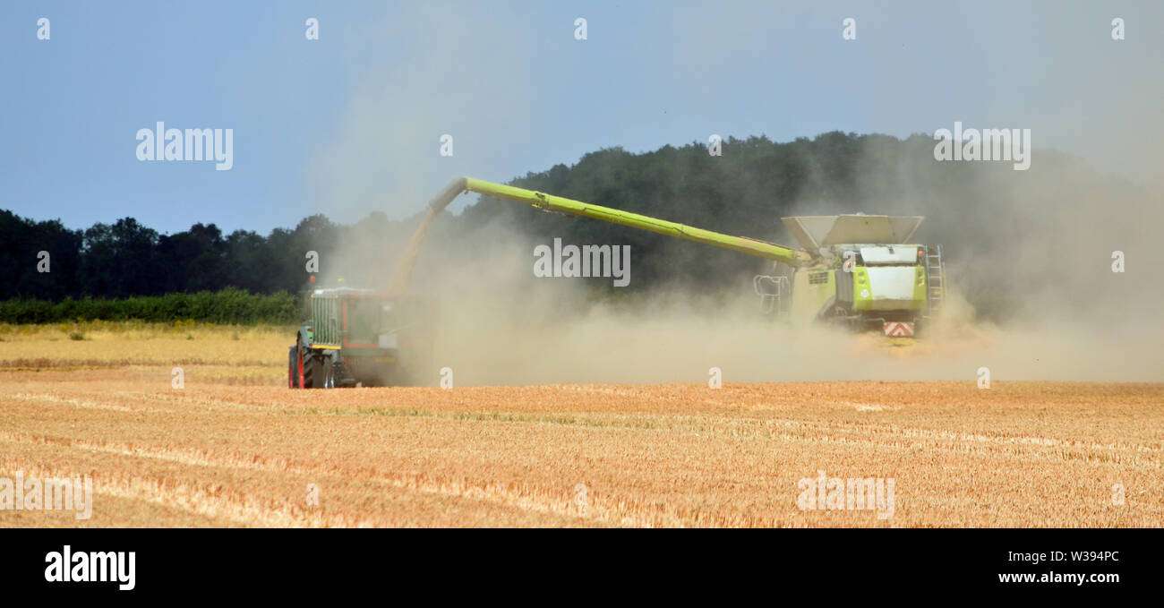 A Very Dusty Grain Harvest Stock Photo - Alamy