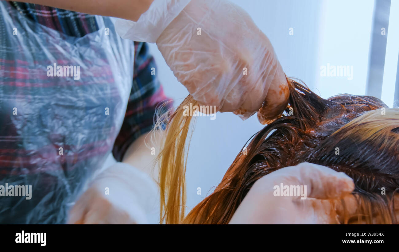 Professional hairdresser coloring hair of woman client at studio Stock ...