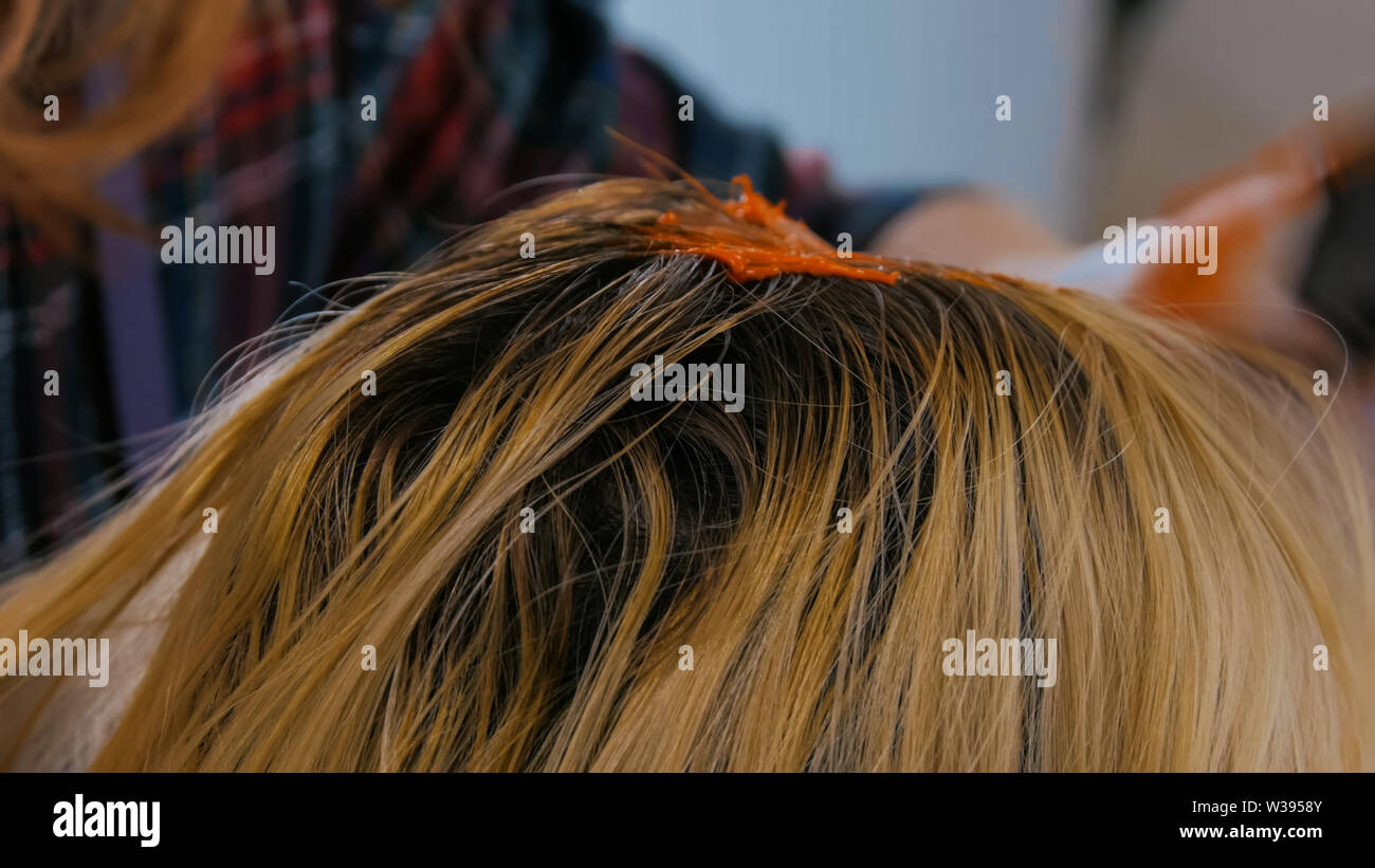 Process of coloring hair of woman client at studio Stock Photo - Alamy