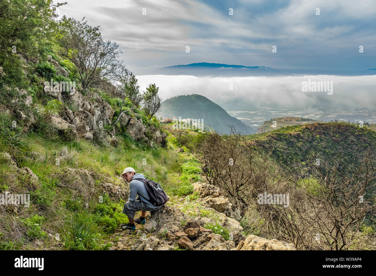 Forest cliff trees pine green road hi-res stock photography and images ...