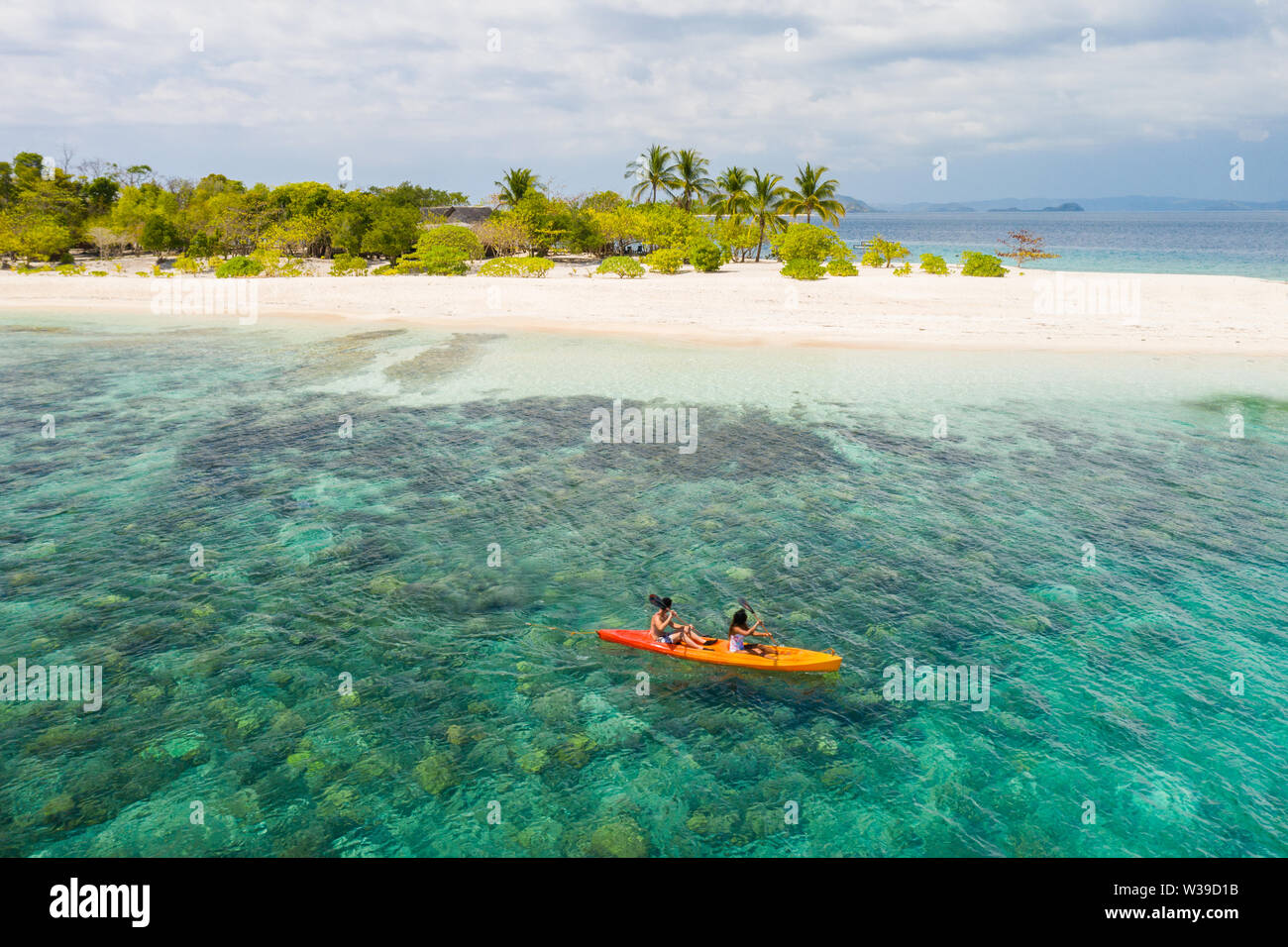 Couple kayaking on a tropical beach with blue water and palm trees ...