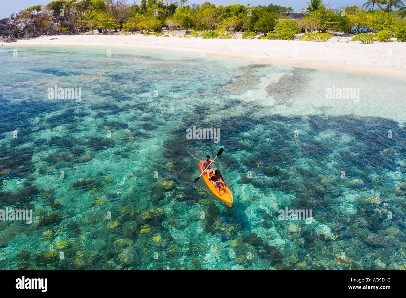 Couple kayaking on a tropical beach with blue water and palm trees ...